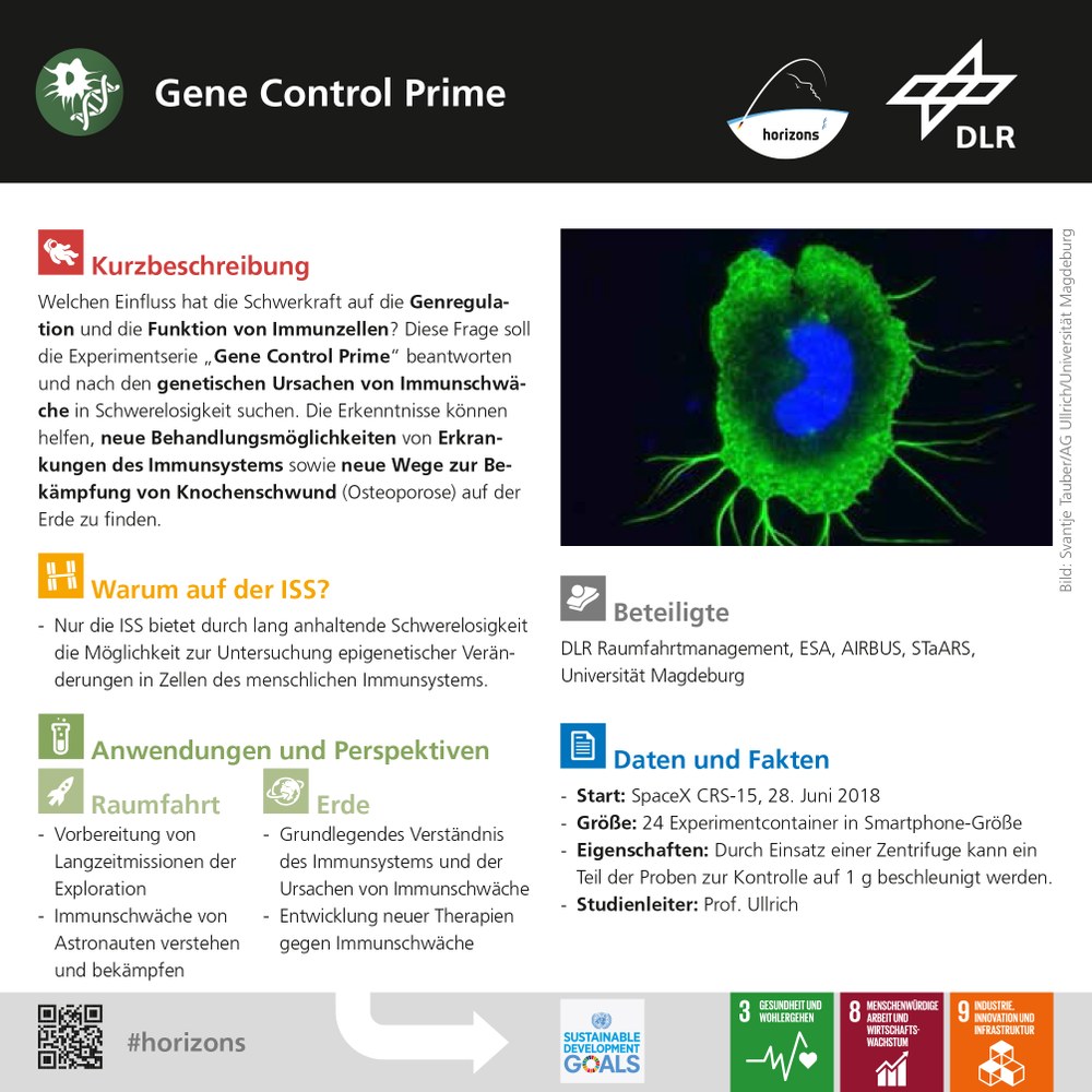Infokarte zum Experiment Gene Control Prime