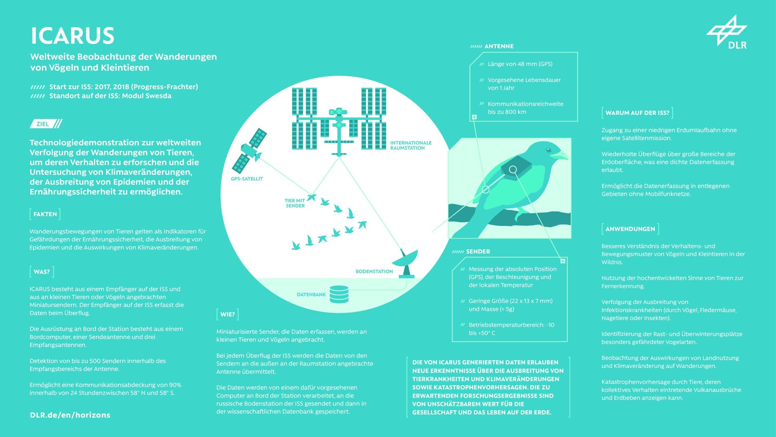 DLR - Infografik Experiment ICARUS