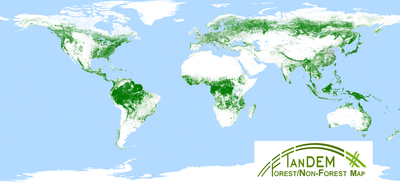 Forest / Non-Forest Map