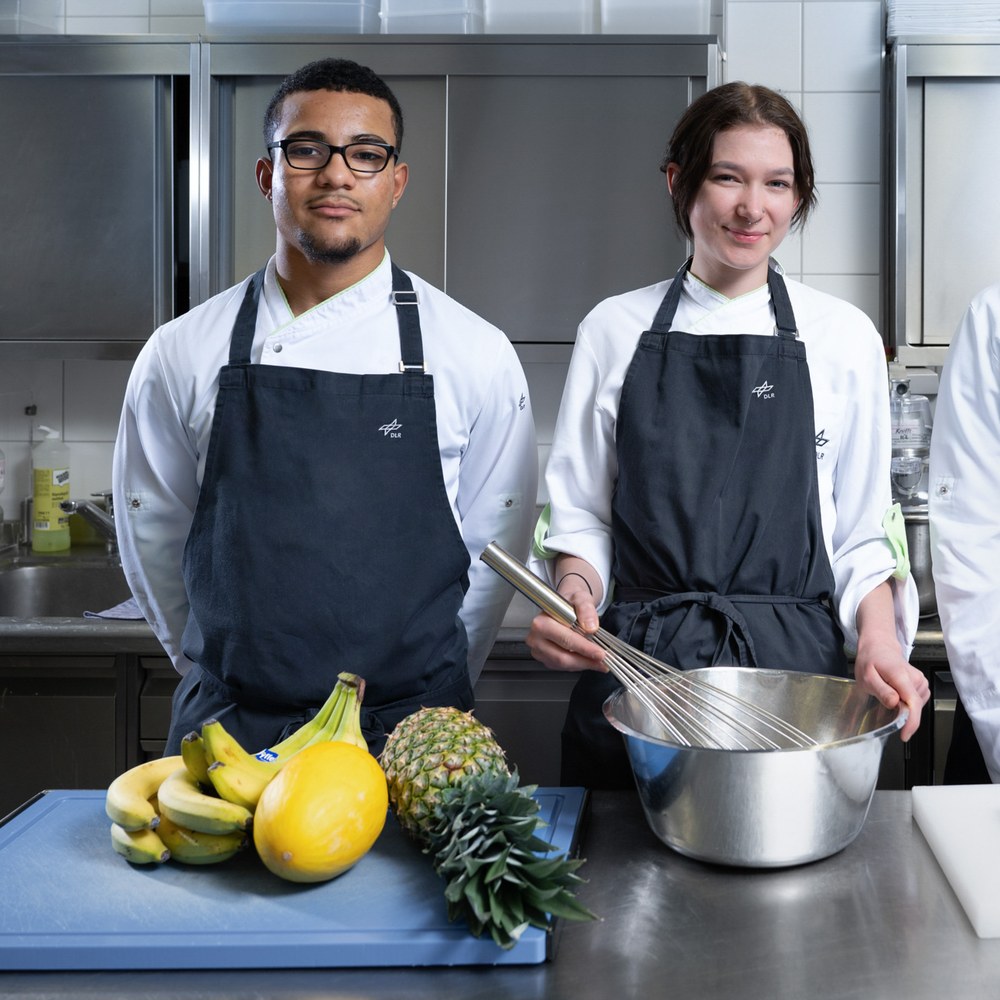 Apprenticeship, dual study programme, school internship, pre-study ...