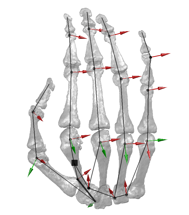 Kinematics of the human hand (2009)