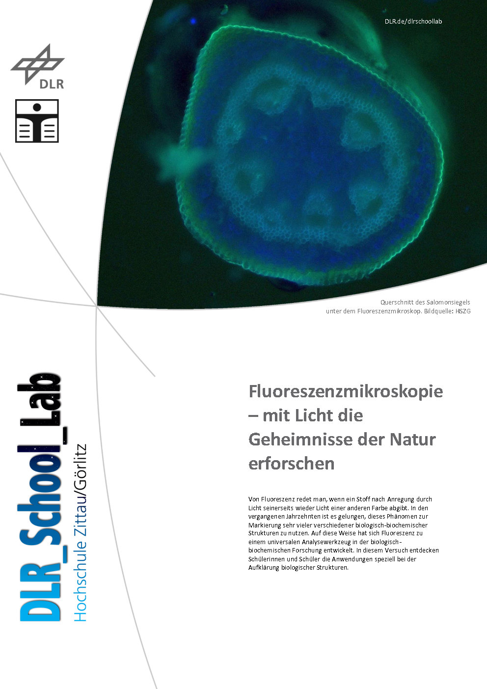 Handout Experiment Fluoreszenzmikroskopie