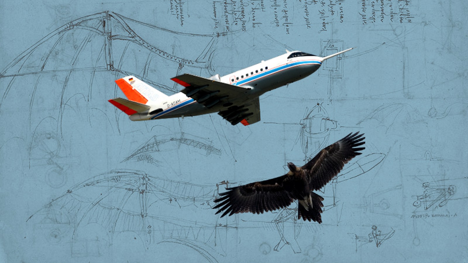 Der Traum vom Fliegen