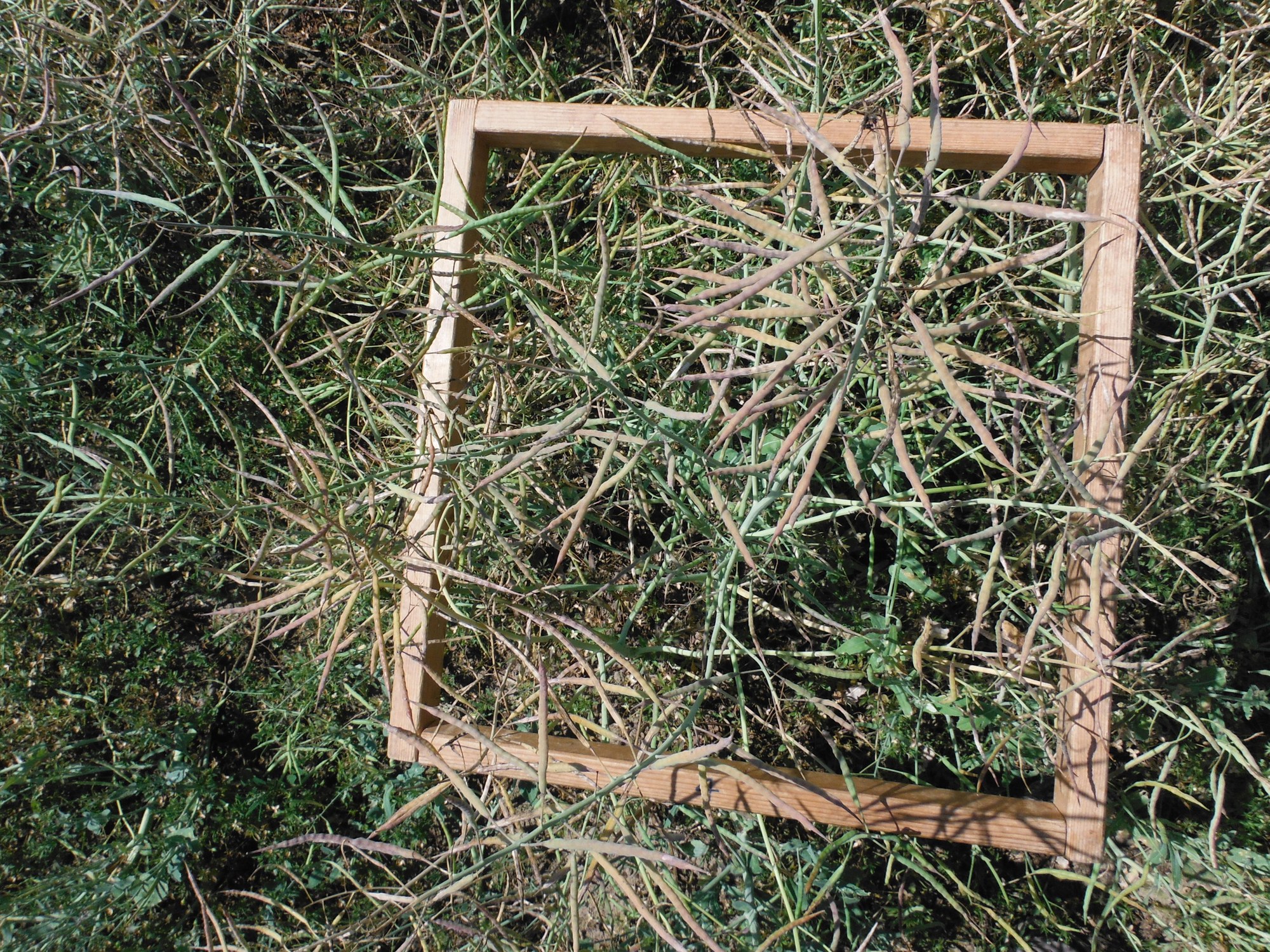 Measurements to obtain so-called ground-truth data