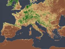 Fraction of Vegetation Cover (FVC)
