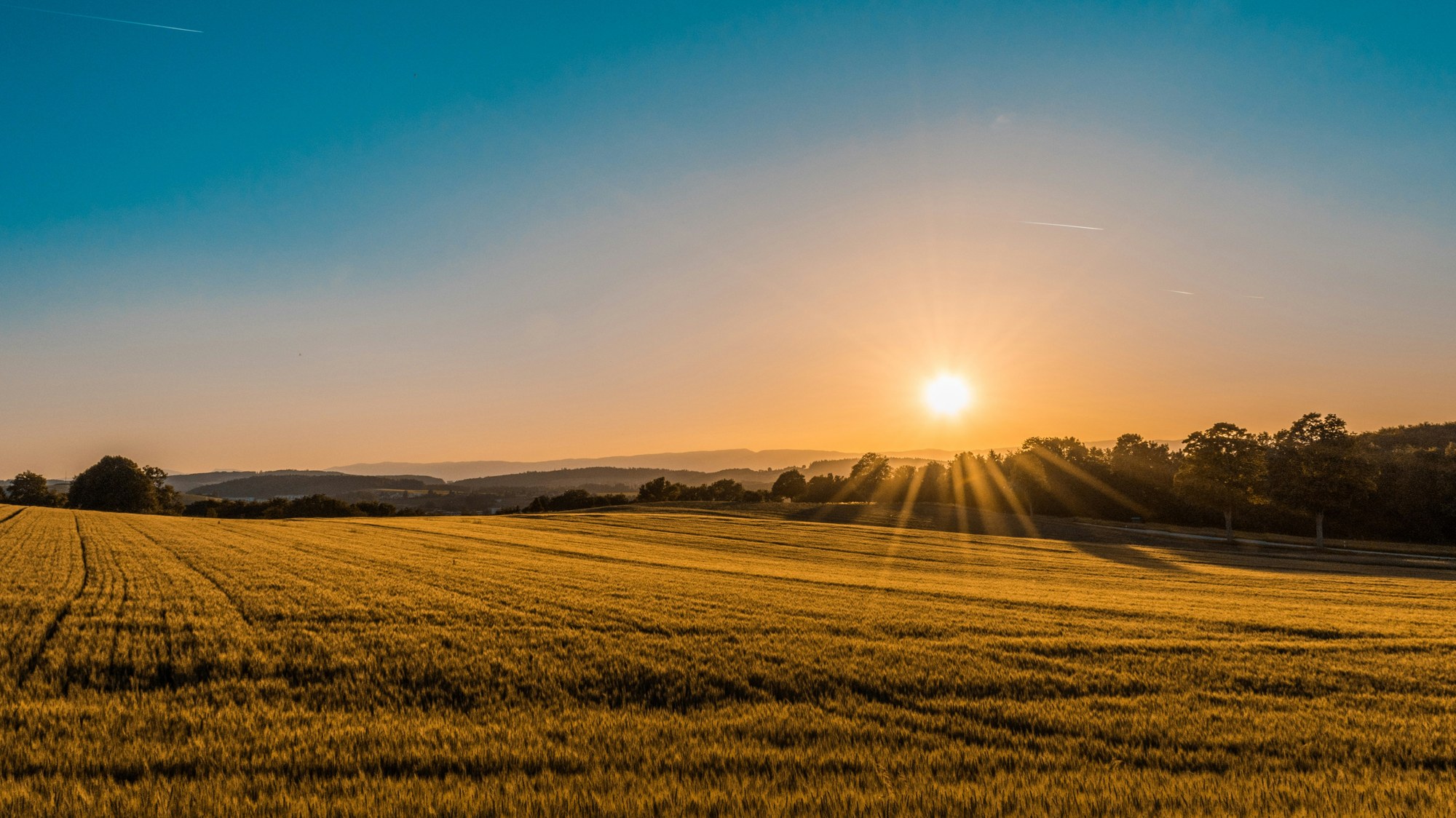 Sunset behind a cultivated field