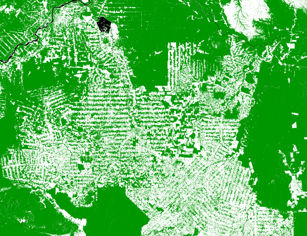 Amazon Rainforest - Zoomed