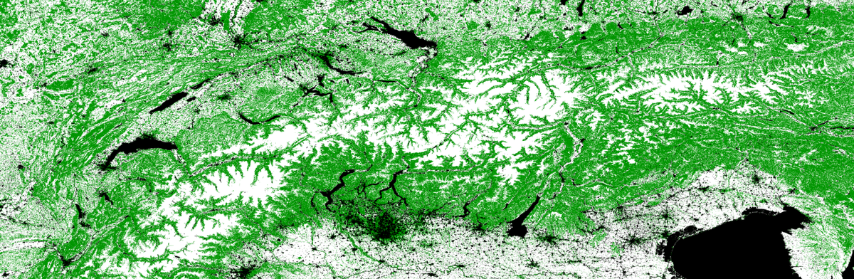 Forest / Non-Forest Map