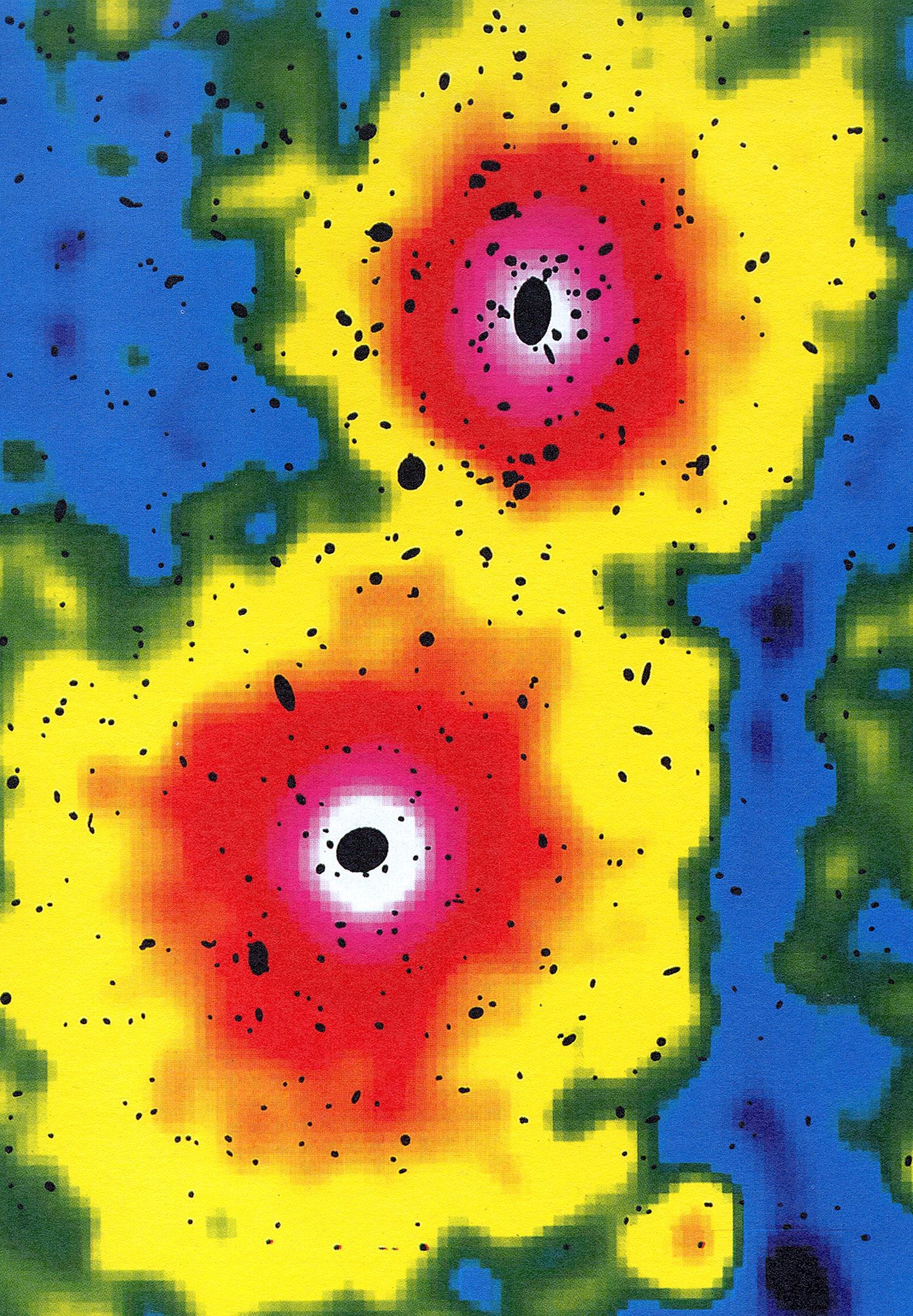 ROSAT image of the galaxy cluster Abell 3528, observed in May 1995