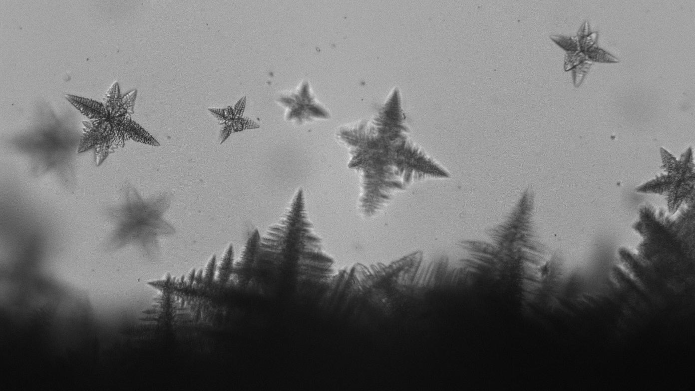 Solidification in microgravity