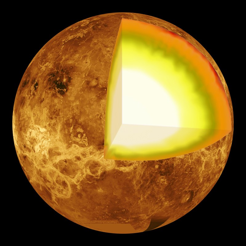 Temperature distribution in Venus’ interior