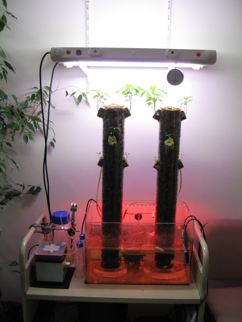 Biofilter for closed-loop life support systems