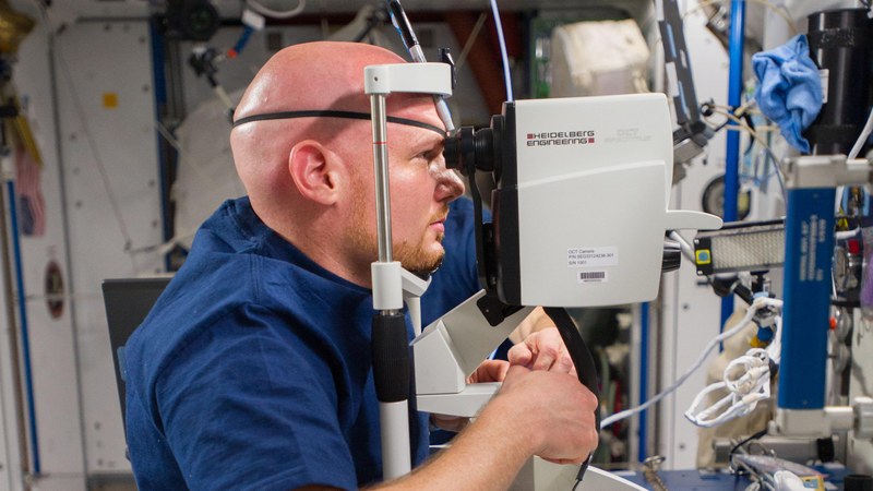 'Guinea pig' in space