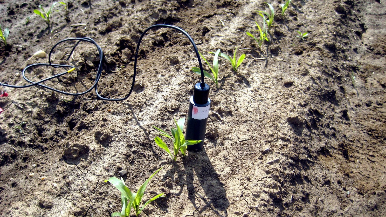 Portable measurement probe