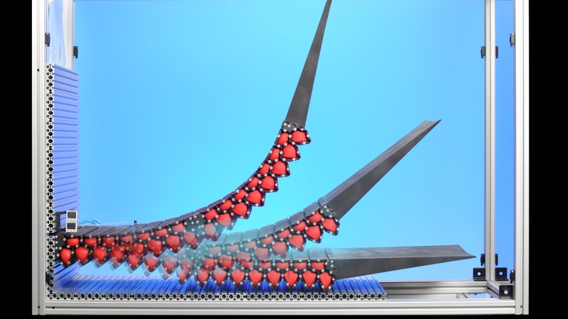 Various positions of the flap demonstrator