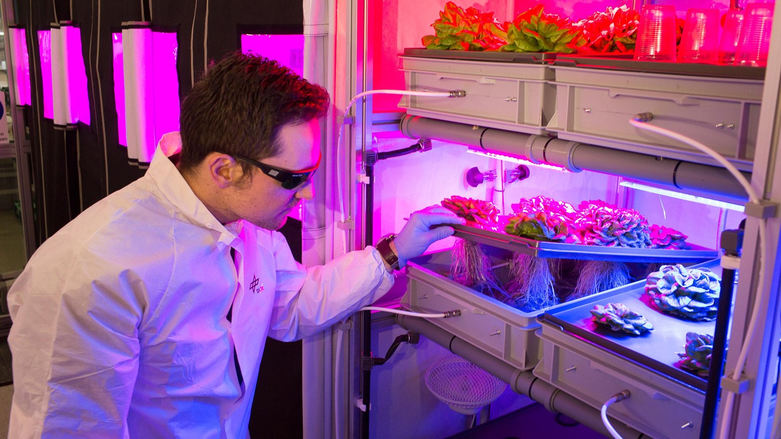 Vertical farming – high-rise agriculture