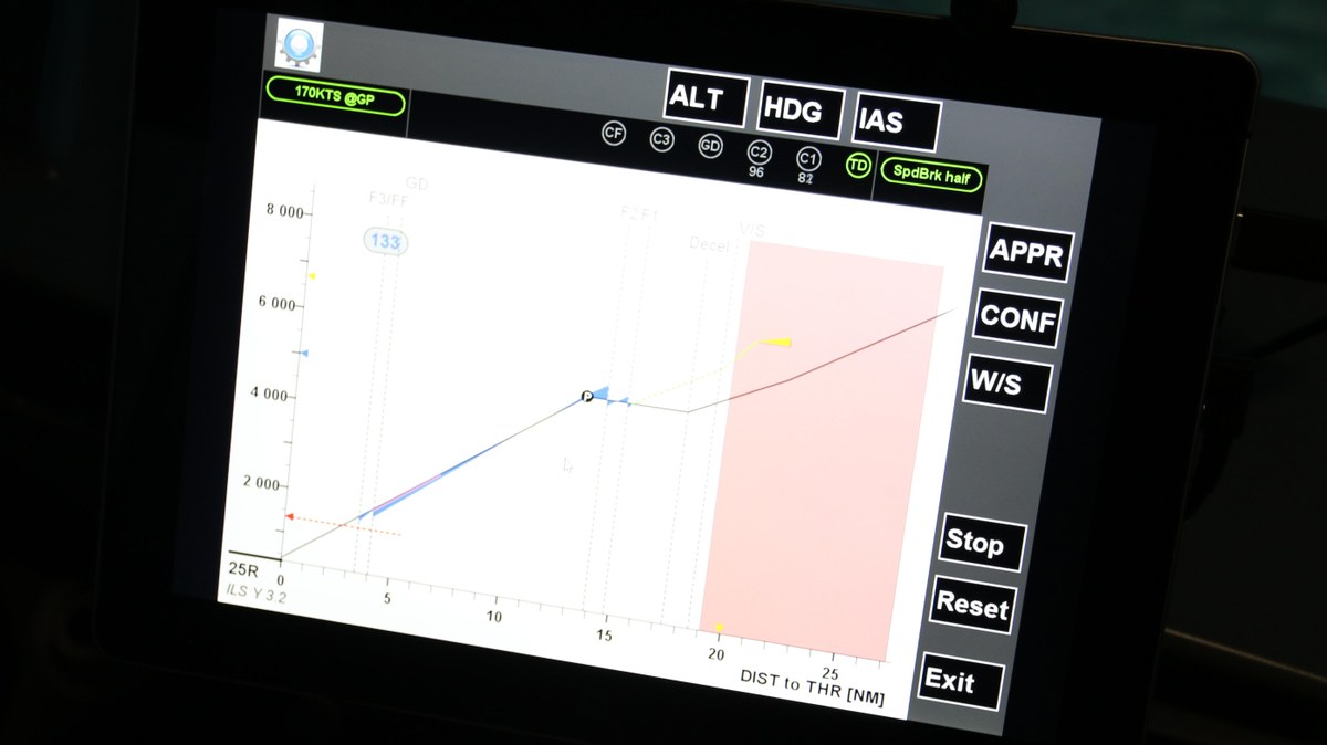 LNAS pilot assistance system display
