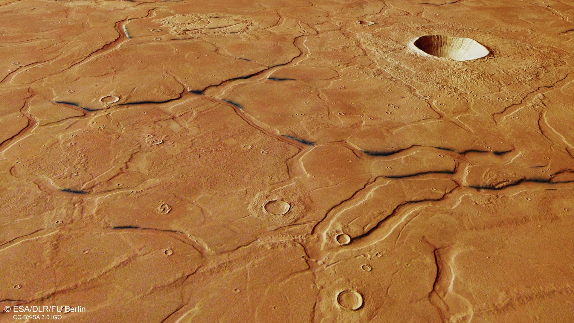 Perspective view of the fracture system in Utopia Planitia