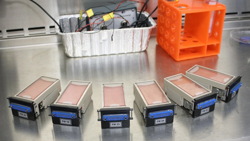 Smartphone-sized experiment containers