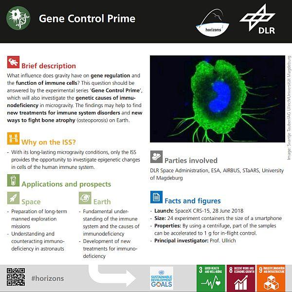 Infographic: Gene Control Prime
