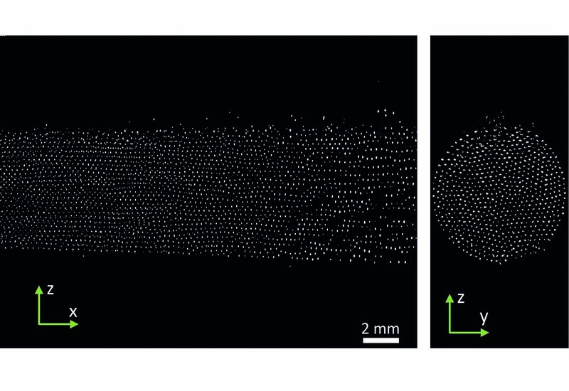 DLR-PK-4 experiment: particle distribution in plasma chamber
