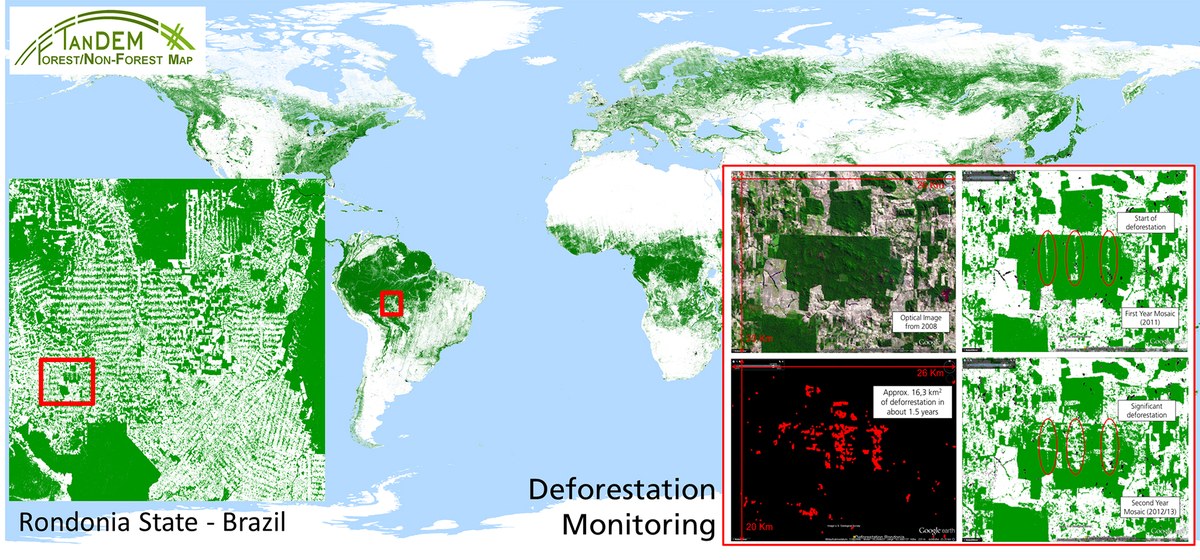 DLR – TanDEM-X forest map