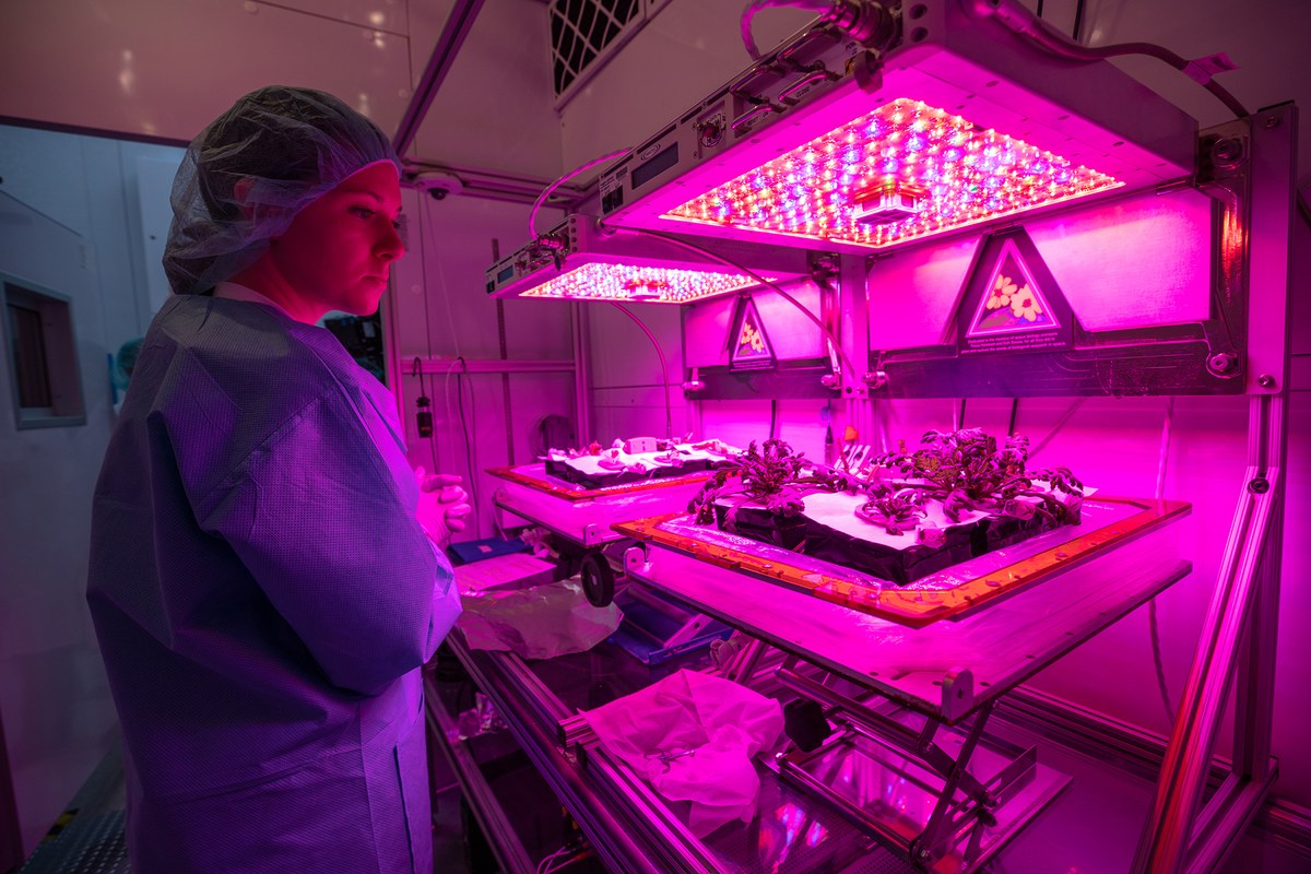 DLR – Jess Bunchek working on the Veggie System