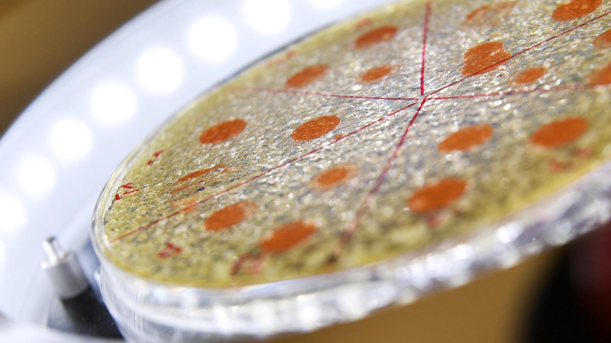 DLR – Biology Laboratory (Module 6/:envihab) at DLR