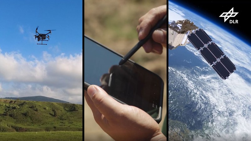 Satellites detect where locust infestations begin