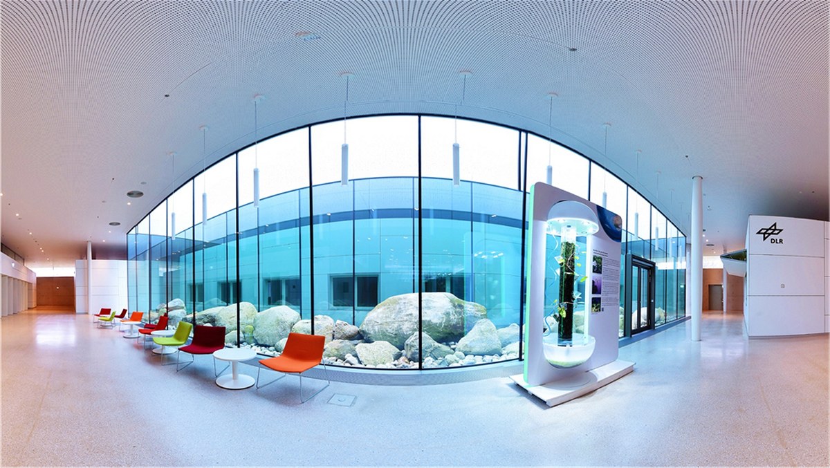 Institute of Aerospace Medicine