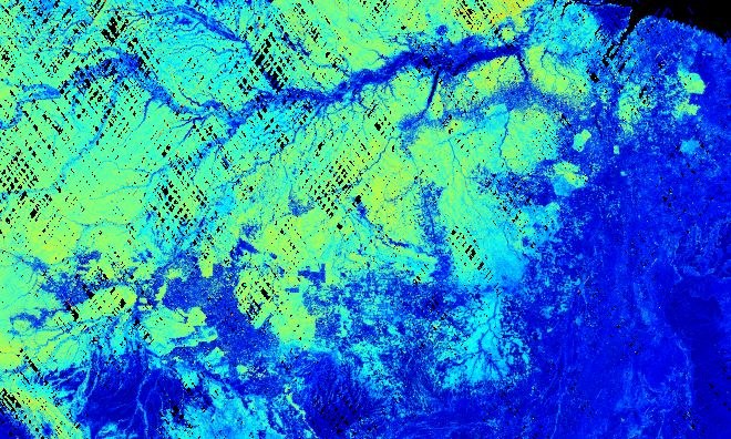 GEDI forest height measurements of a region of the Amazon rainforest