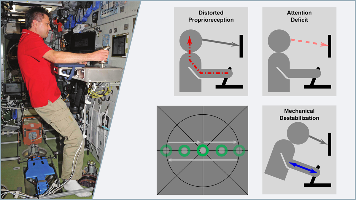 Cognitive Robotics Department
