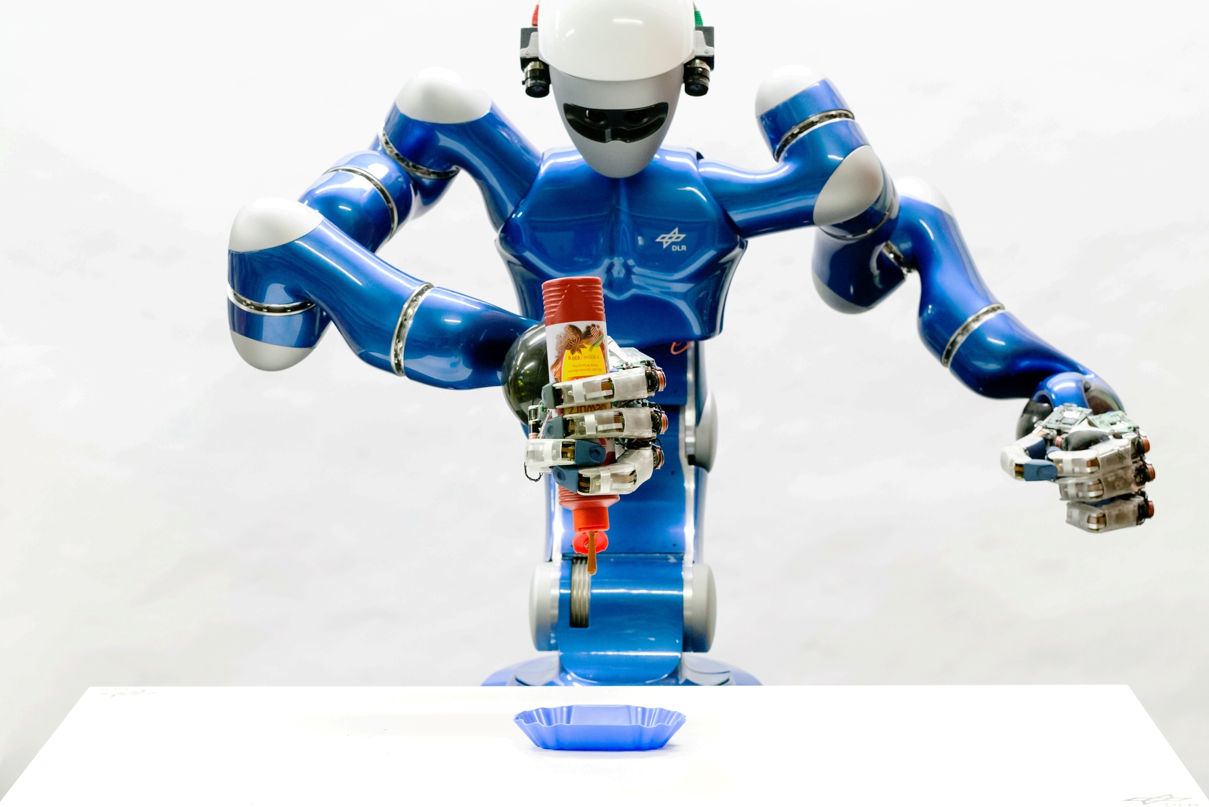 Autonomous Task Planning and Execution