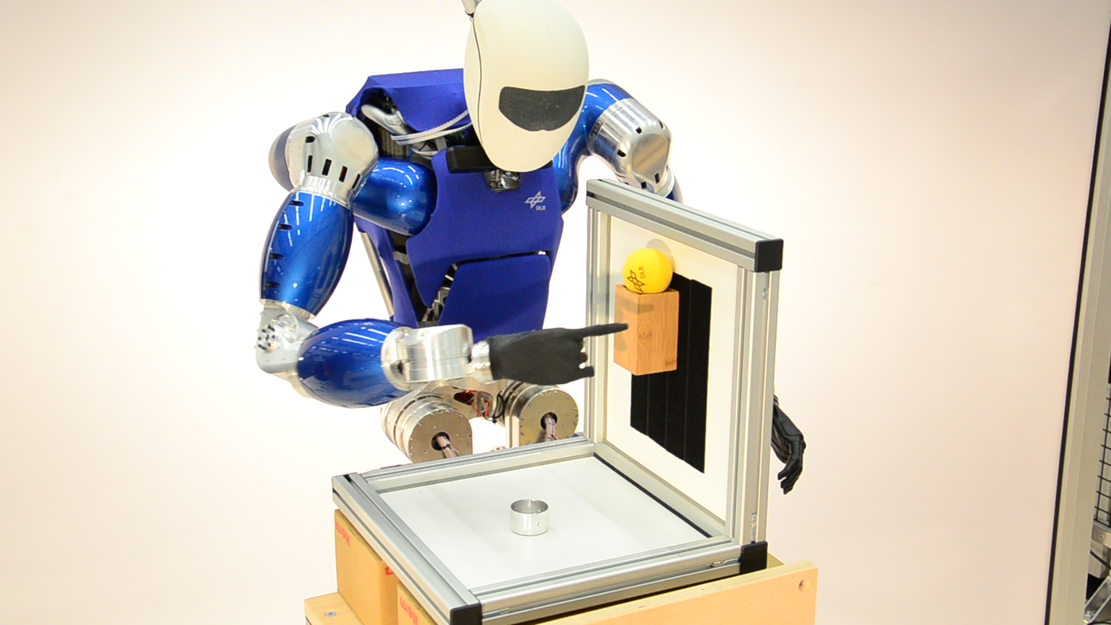 Adaptive Bio-Interfaces